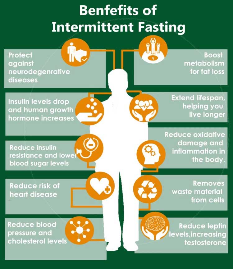 Intermittent fasting : a fad or genuine weight loss solution? | Texas ...