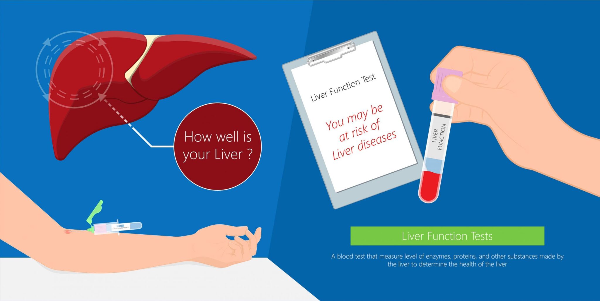 What are liver function tests? | Texas Speciality Clinic - Texas ...