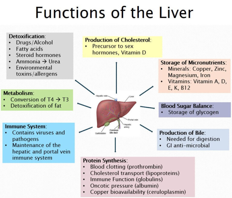 What are liver function tests? | Texas Speciality Clinic - Texas ...